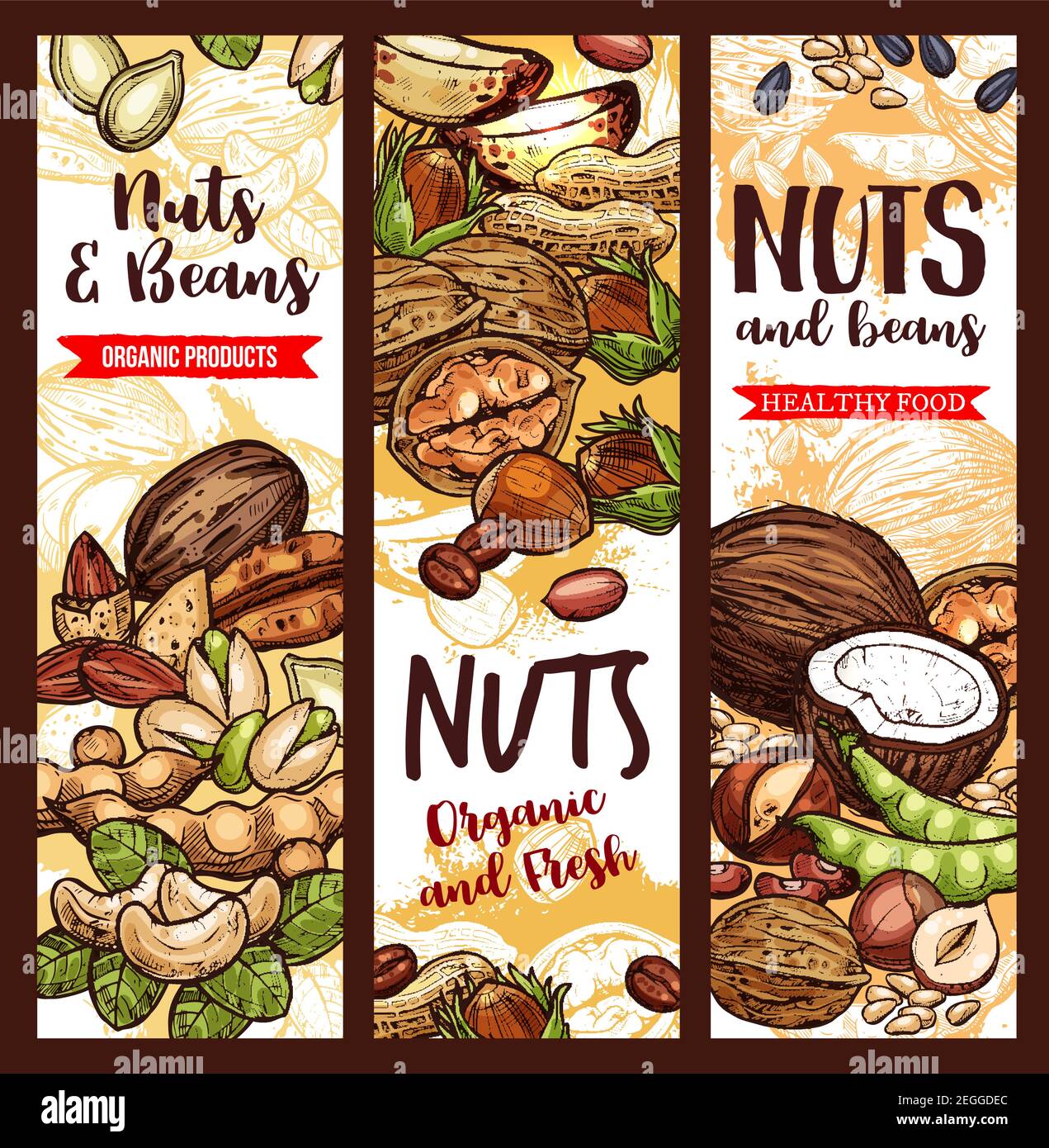 Nuts, beans and fruit seeds mix sketch banners. Vector design of peanut ...