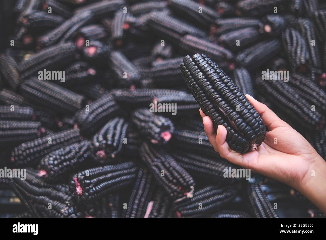 Young Woman Choosing Peruvian purple corn in Grocery Store, which is ...