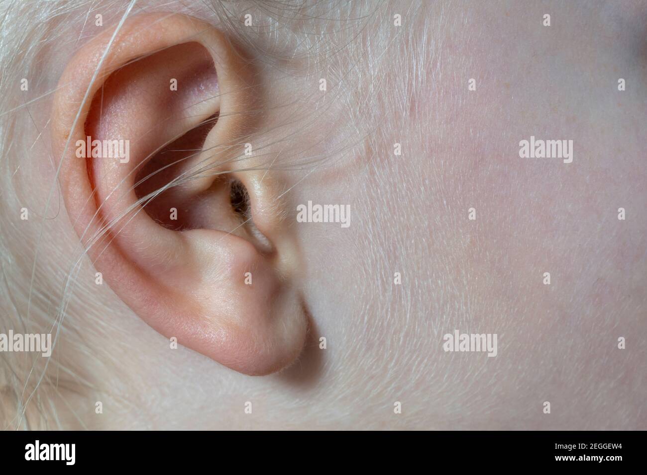 Ear Piercing Woman Close Up High Resolution Stock Photography and ...