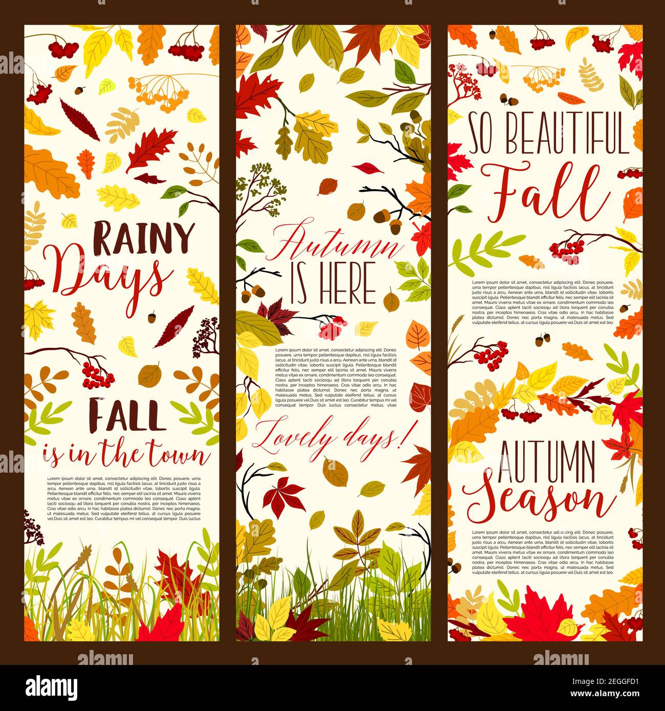 Fall beech leaves Stock Vector Images - Alamy