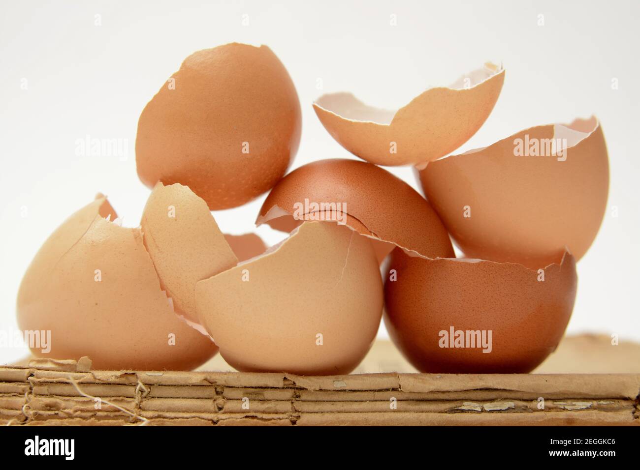 Pile of cracked broken eggshells on carton paper Stock Photo - Alamy