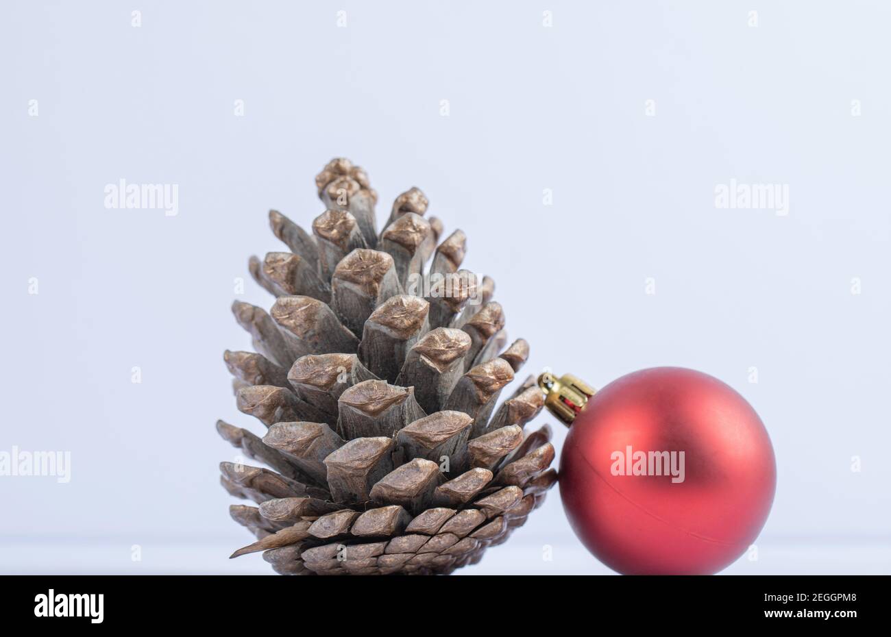 An oak tree cone with red glittering balls on a white background Stock ...