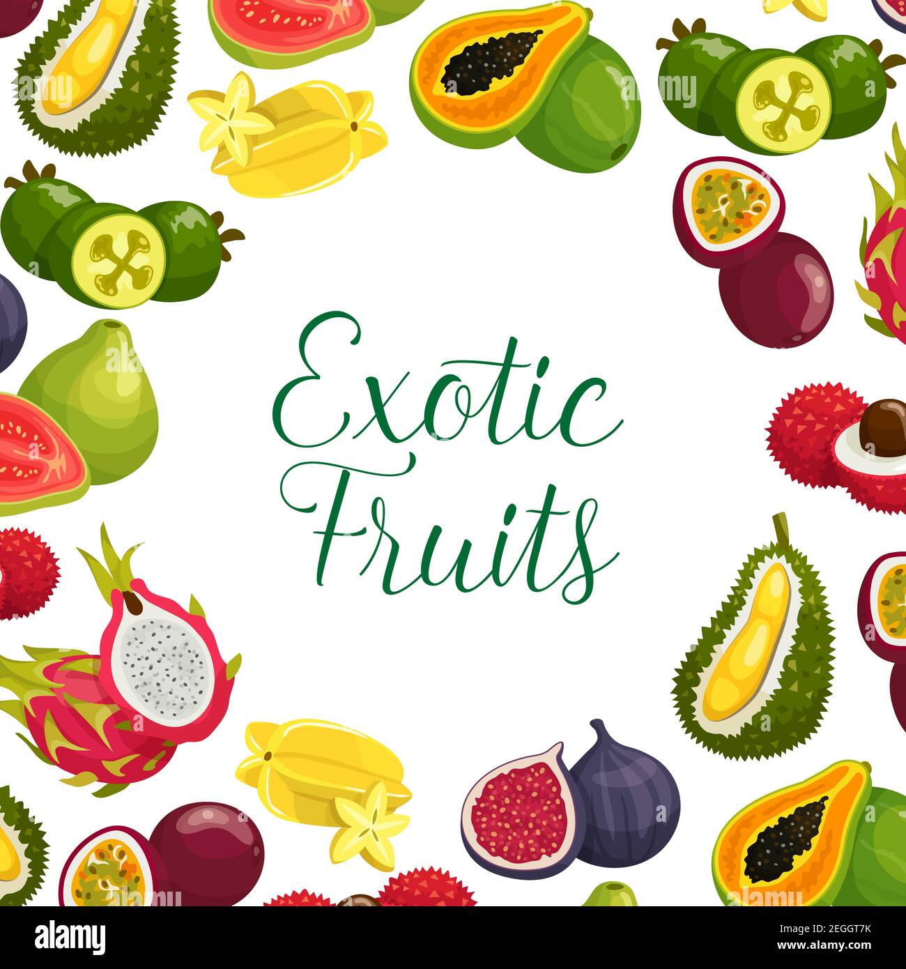 Rambutan organic fruit market Stock Vector Images - Alamy