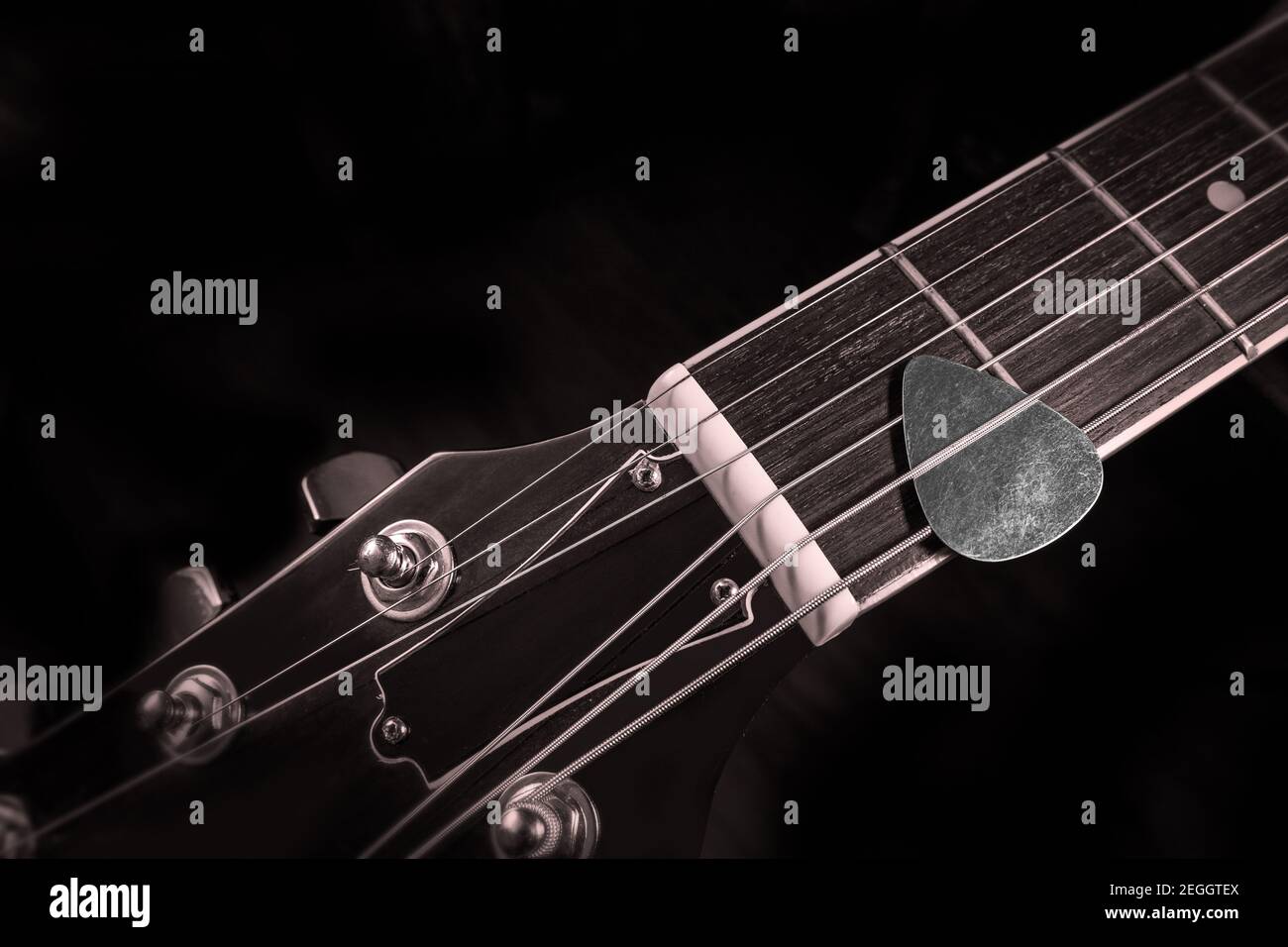 Guitar neck, strings, metal pick. Monochrome Stock Photo - Alamy