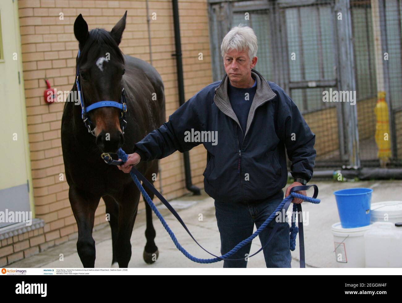 Horse Racing Horses High Resolution Stock Photography and Images - Alamy