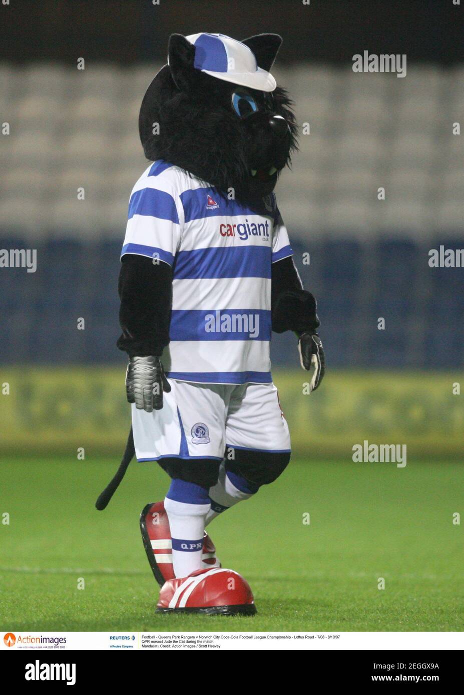 Jude cat hi-res stock photography and images - Alamy