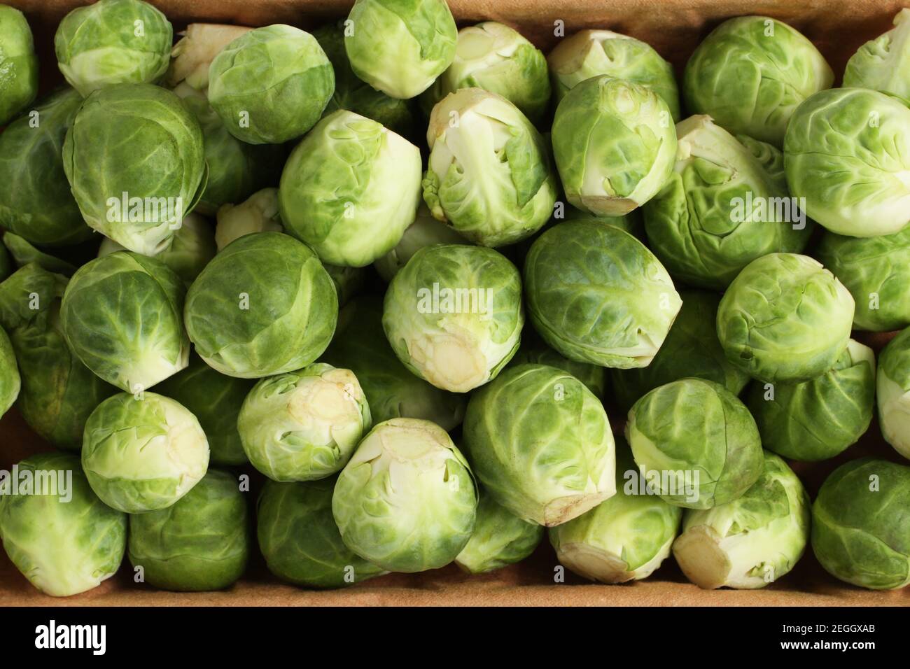 The heads of Brussels sprouts are randomly placed in a cardboard box ...