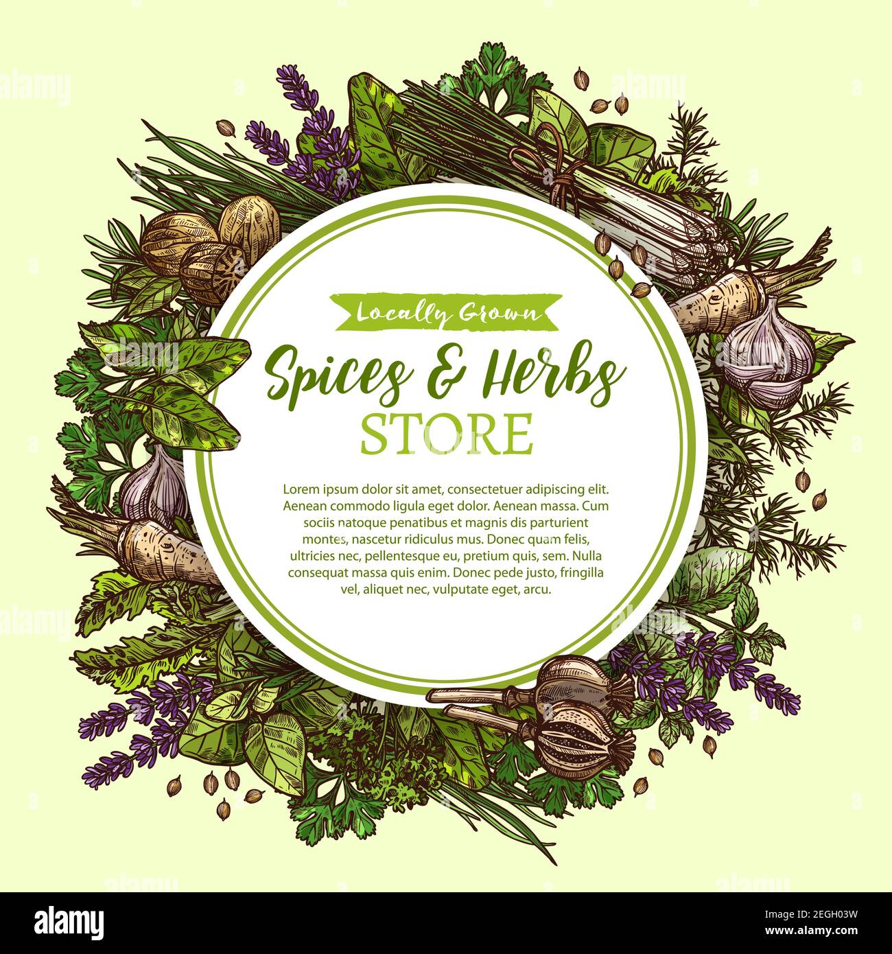 Herbs and spices store sketch poster. Vector natural organic spice of ...