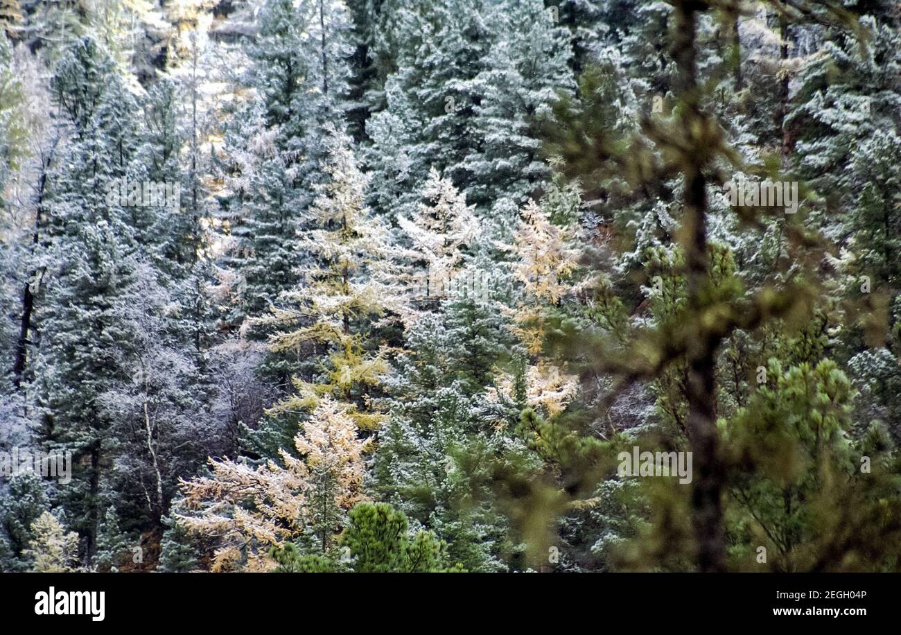 The road to sayan hi-res stock photography and images - Alamy