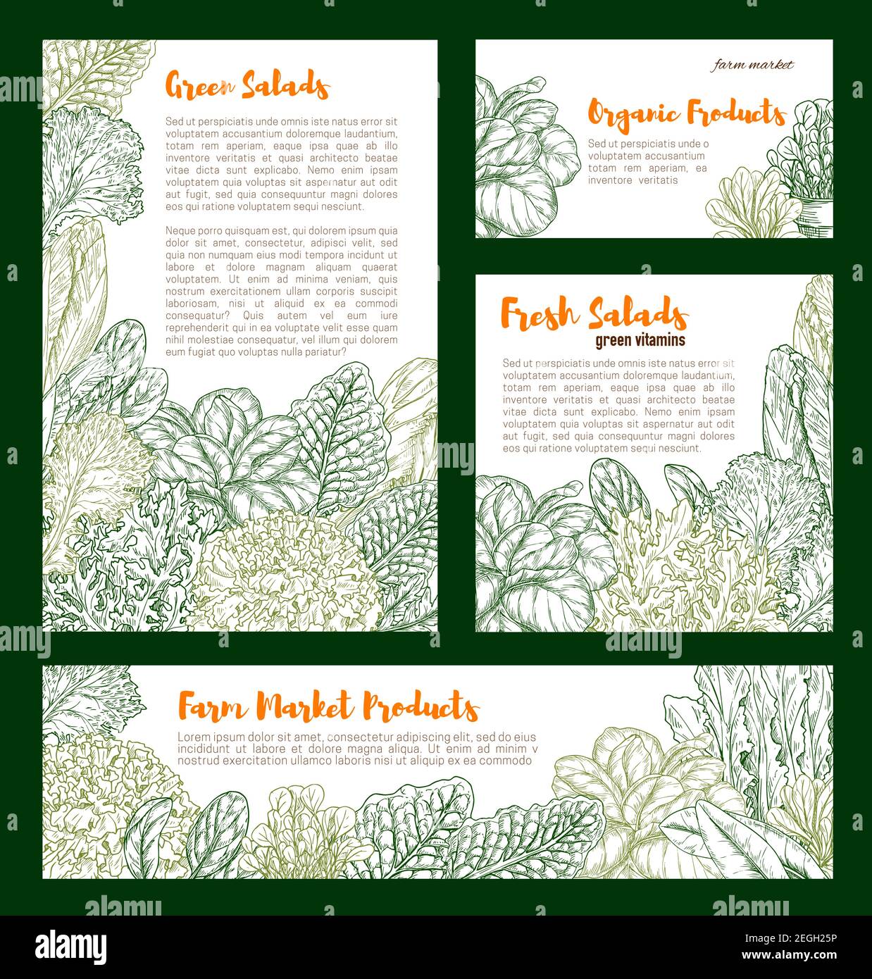 Salads and lettuce vegetables posters and banners templates. Vector ...