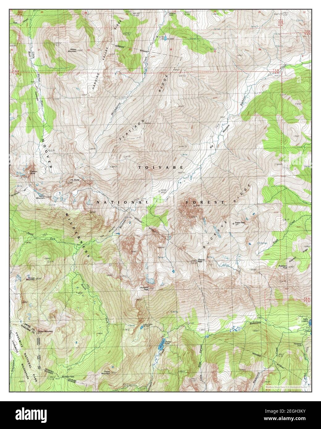 California buckeye illustration hi-res stock photography and images - Alamy