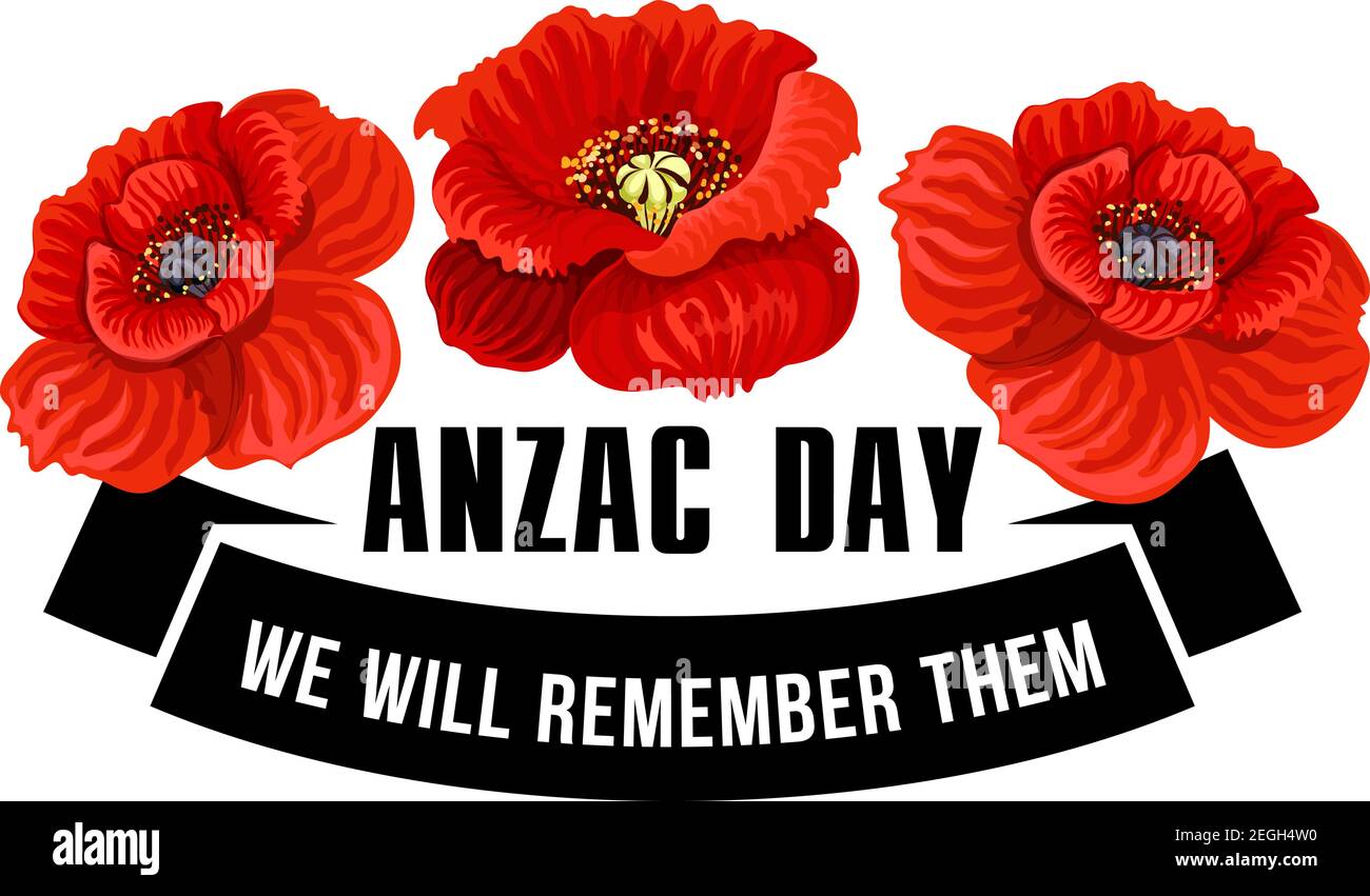 Anzac Day flower symbol of red poppy. Black ribbon banner with We Will ...