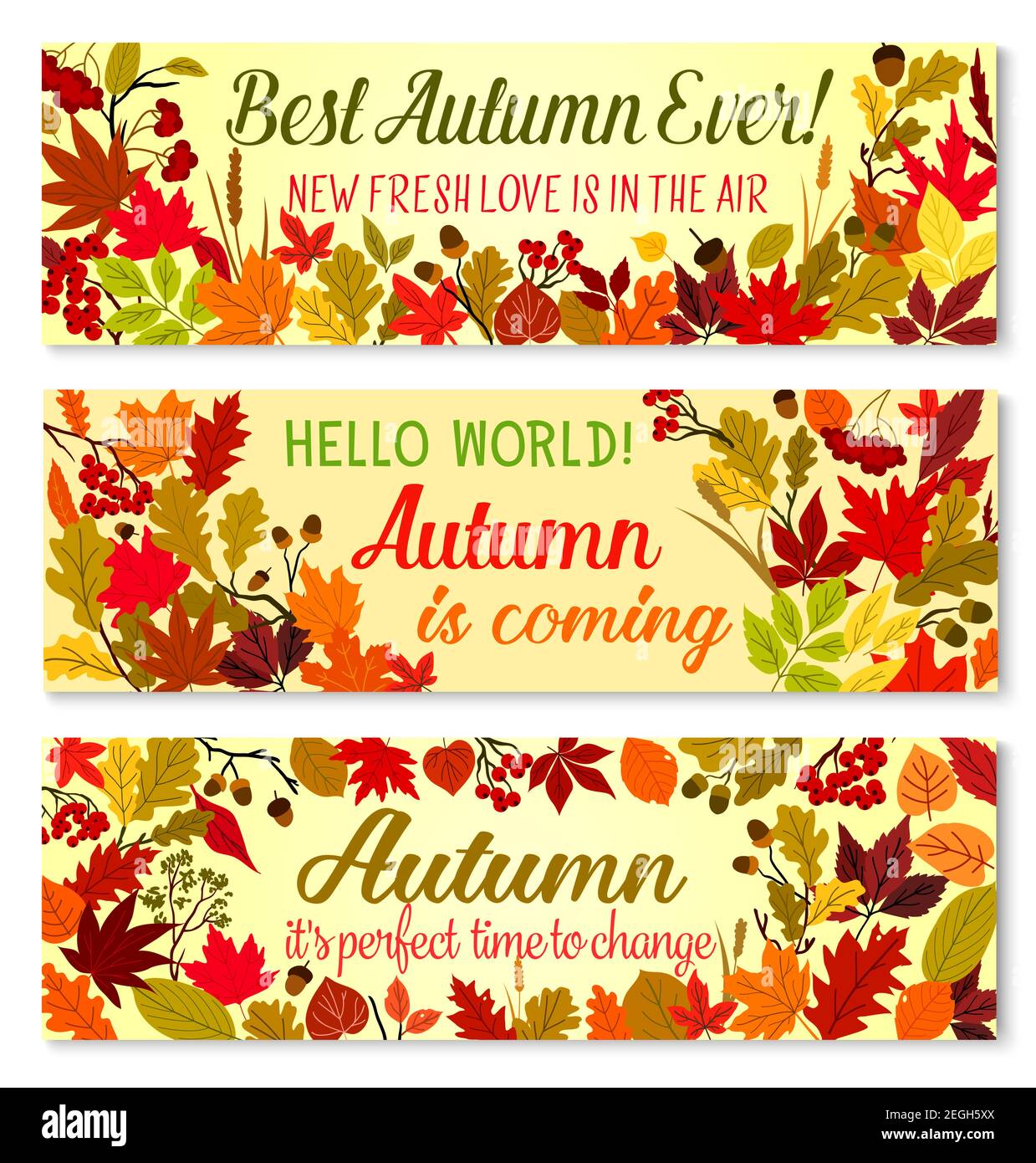 Autumn banner set of fall season forest nature border. Autumn leaves of ...