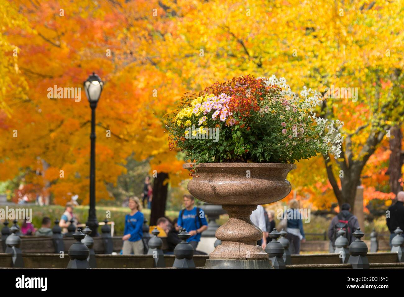 Autumn leaf color trees surround the flowerpot and people around The ...