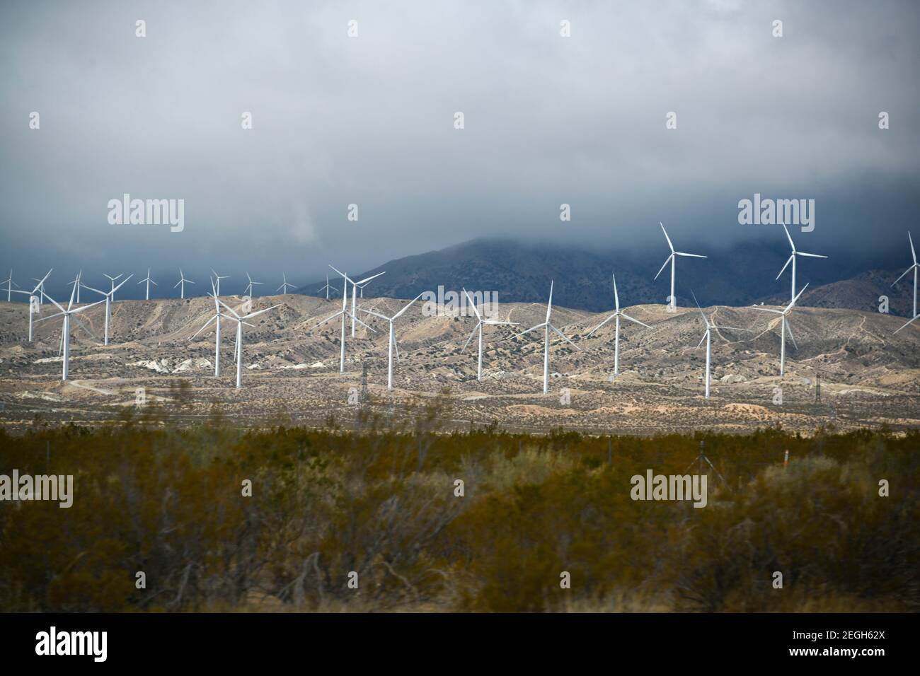 General overall view of the Tehachapi Pass wind farm in Mojave, Calif ...