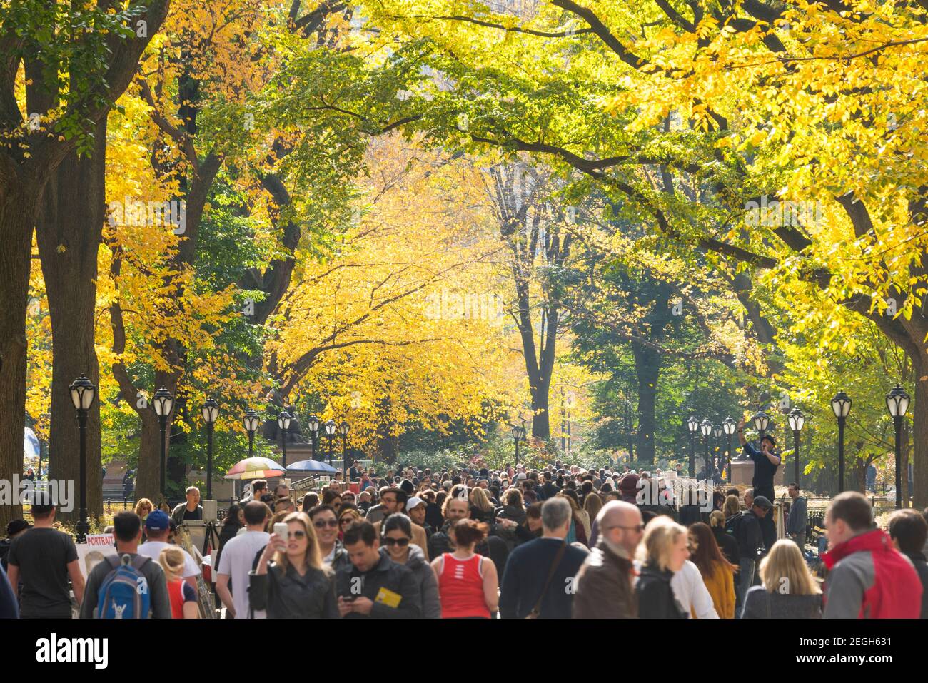 A crowd of people walks down The Mall, which are surrounded by rows of ...