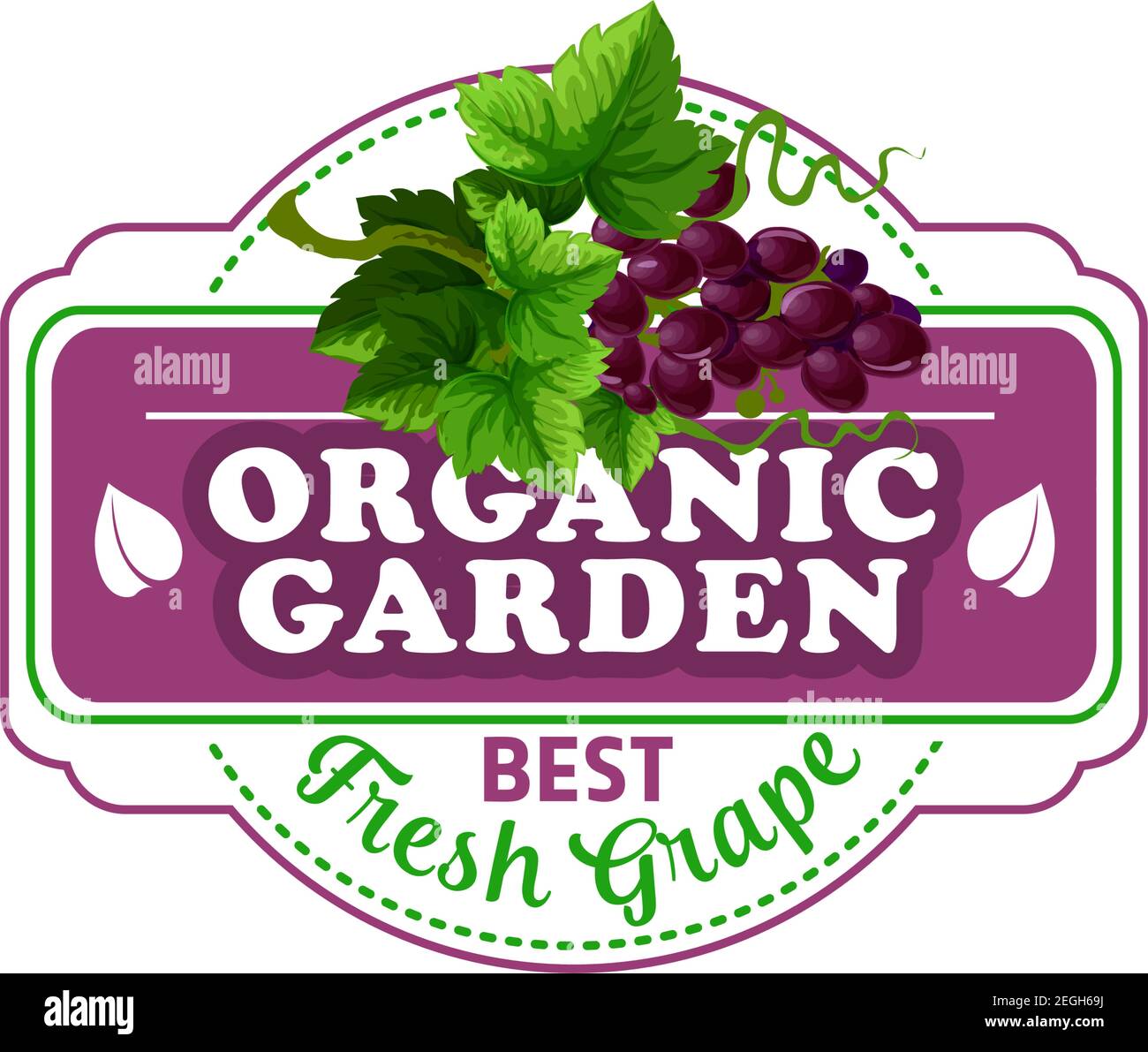 Fresh grape icon for fruit juice, fruity berry jam or farm market ...