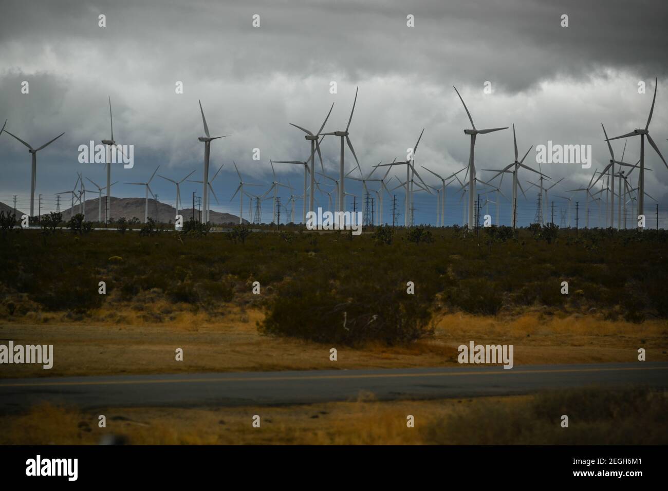 General overall view of the Tehachapi Pass wind farm in Mojave, Calif ...