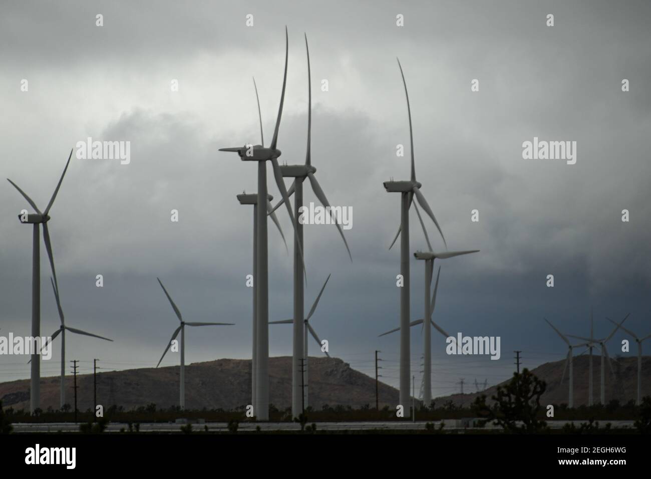 General overall view of the Tehachapi Pass wind farm in Mojave, Calif ...