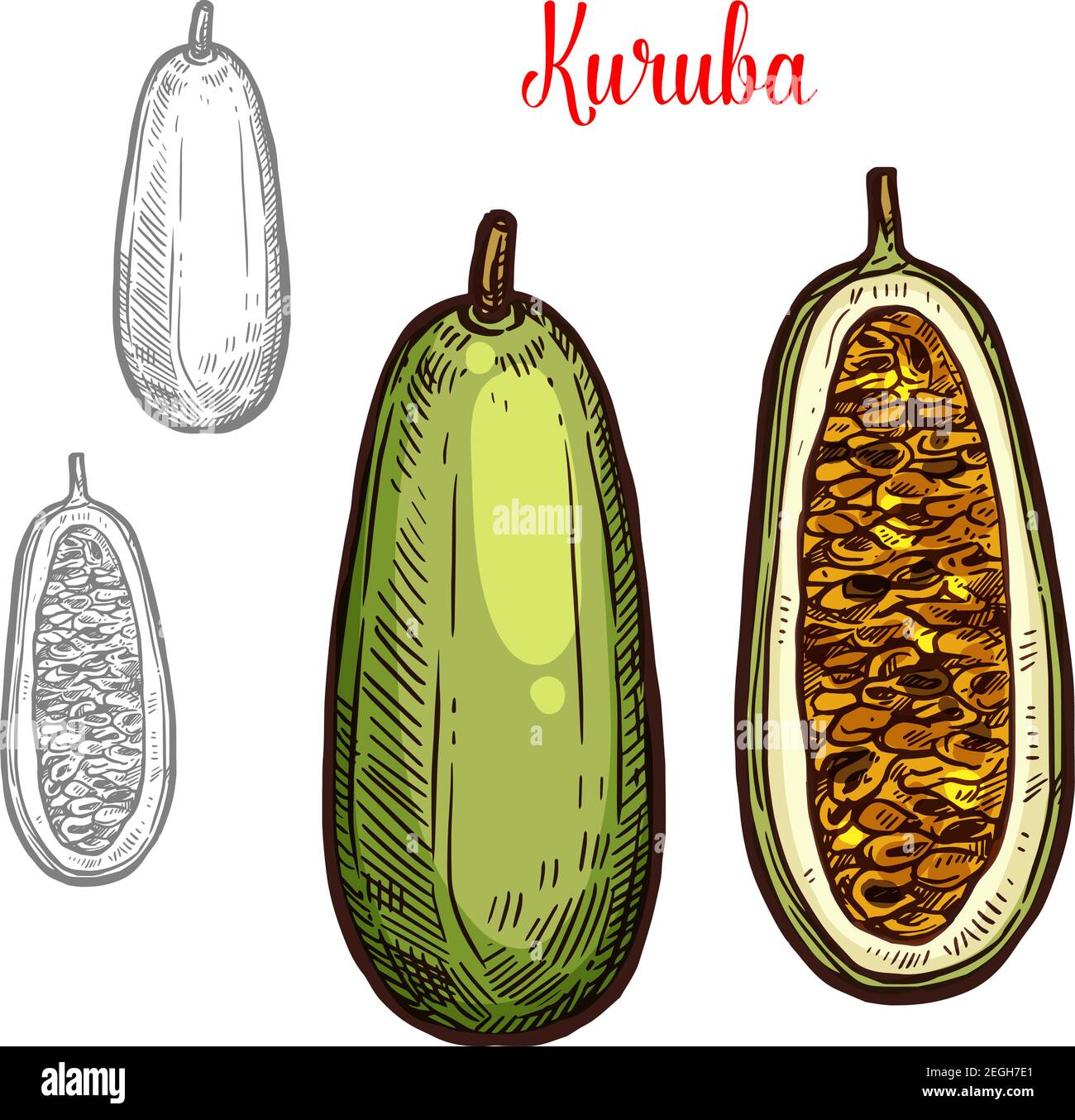 Section de fruit Stock Vector Images - Alamy