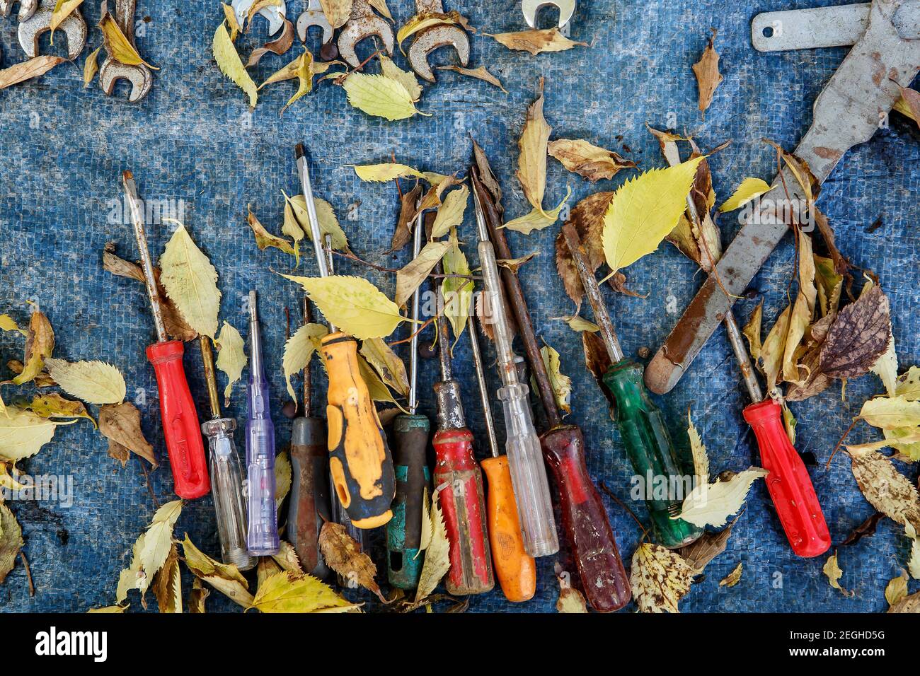 Different work tools at the autumn background Stock Photo - Alamy