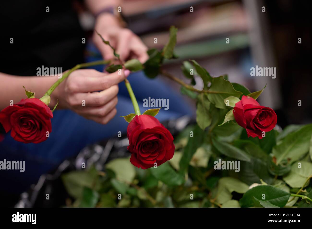 The assembly process hi-res stock photography and images - Alamy