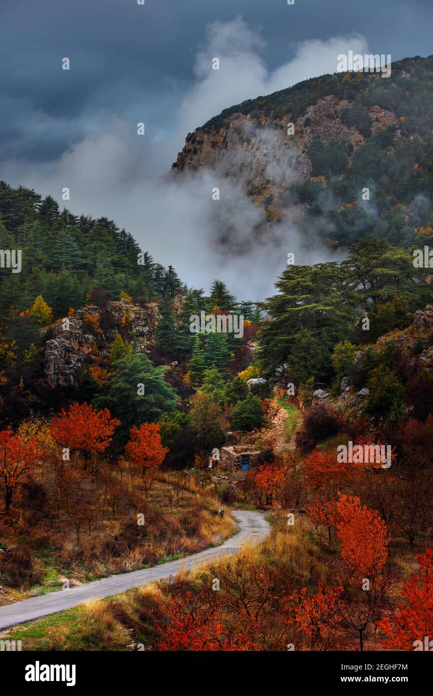 Amazing View of a Beautiful Majestic Mountains Covered with Fresh ...