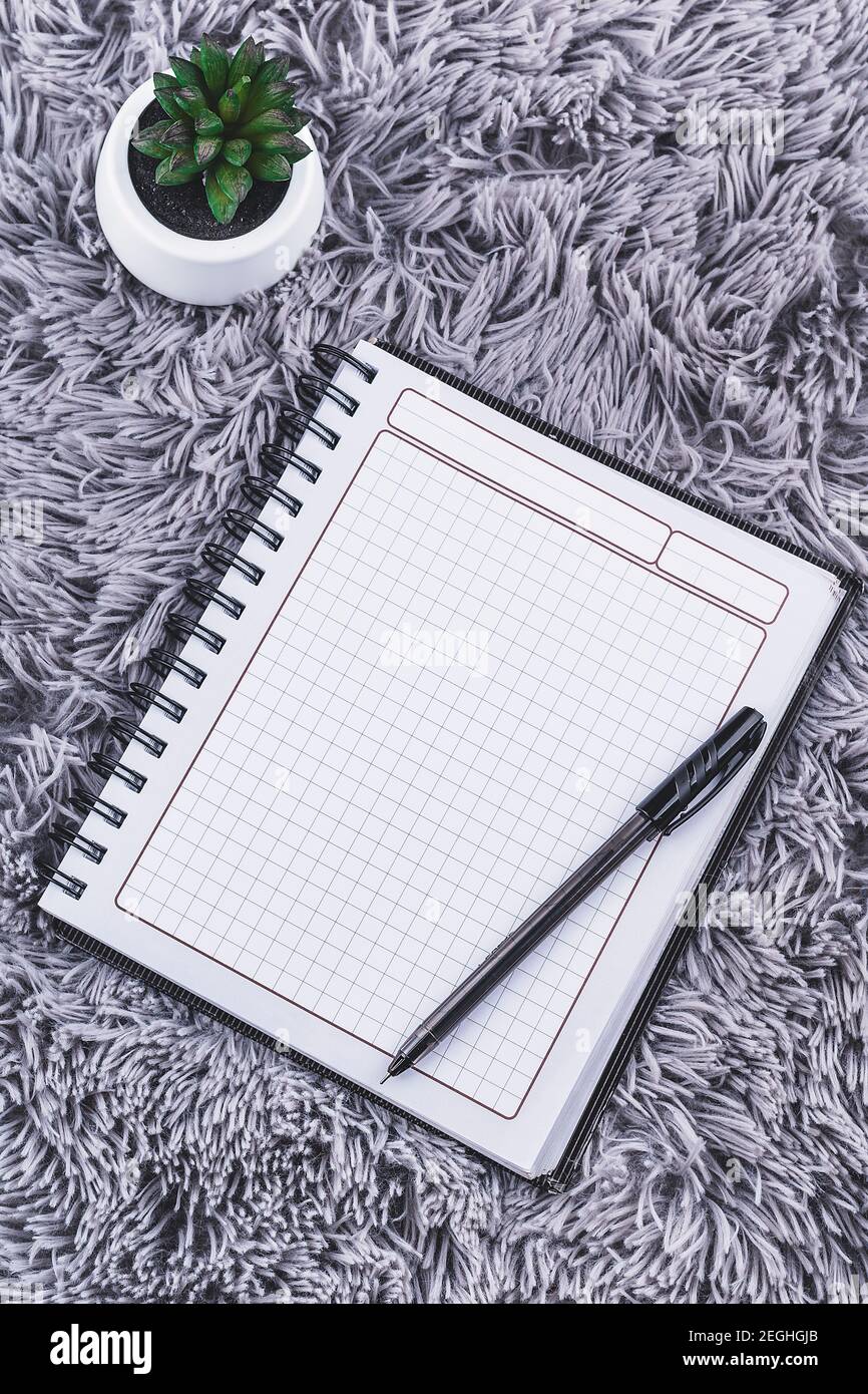 Aerial view of an open notebook with a pen on top and a green plant ...