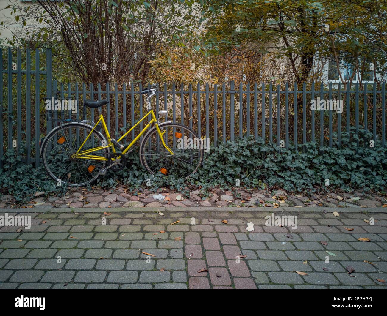 Leaning Bicycle Bush High Resolution Stock Photography and Images - Alamy