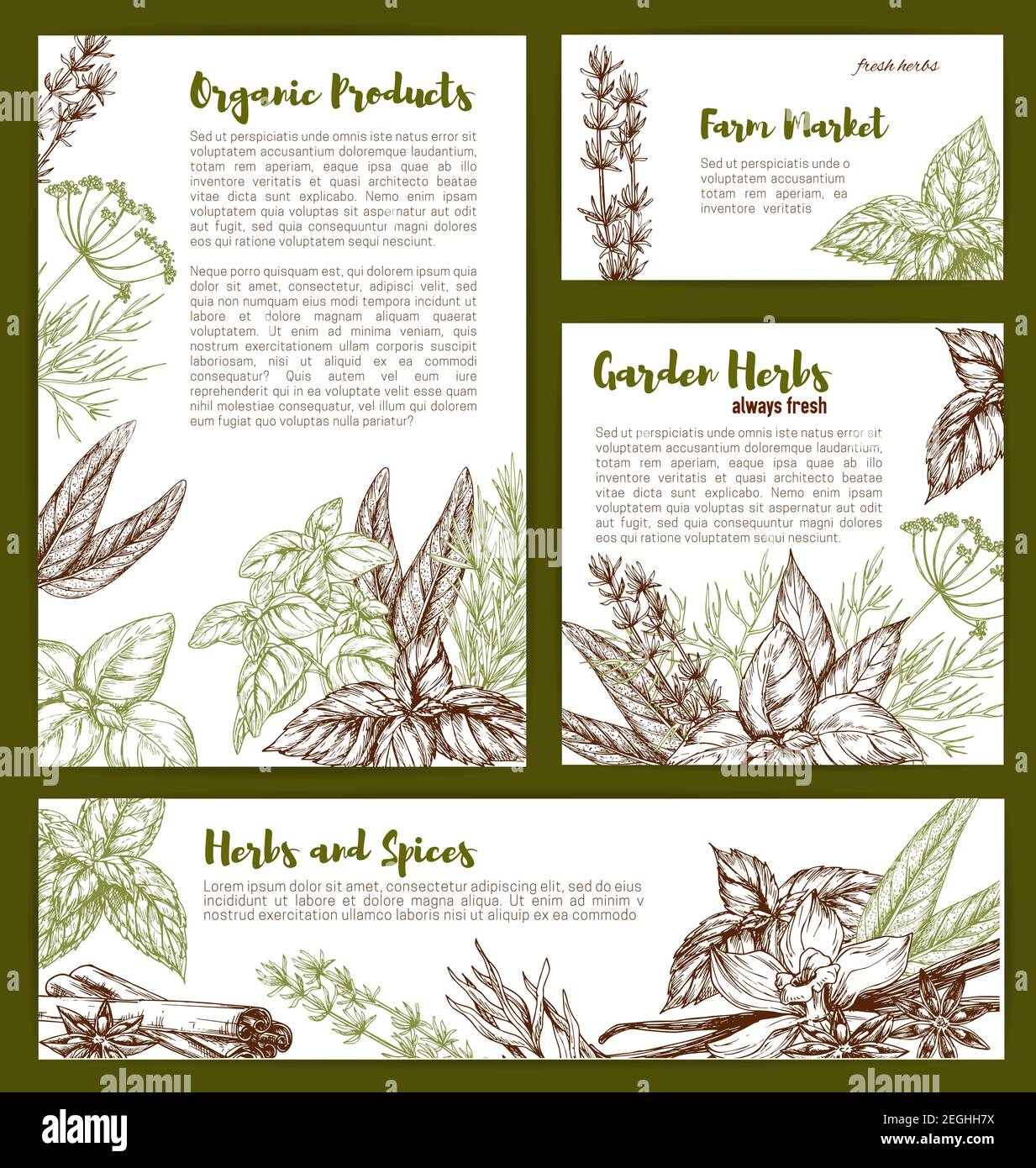 Herbs and spices seasonings sketch banners and posters. Vector organic ...