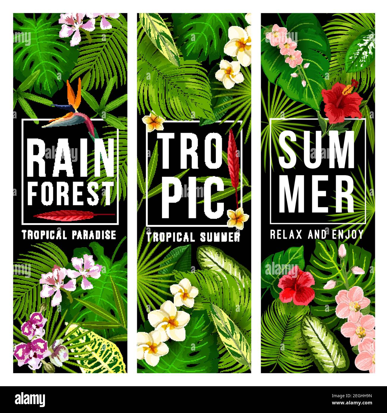 Summer tropical paradise floral banner with hawaiian palm leaf and ...