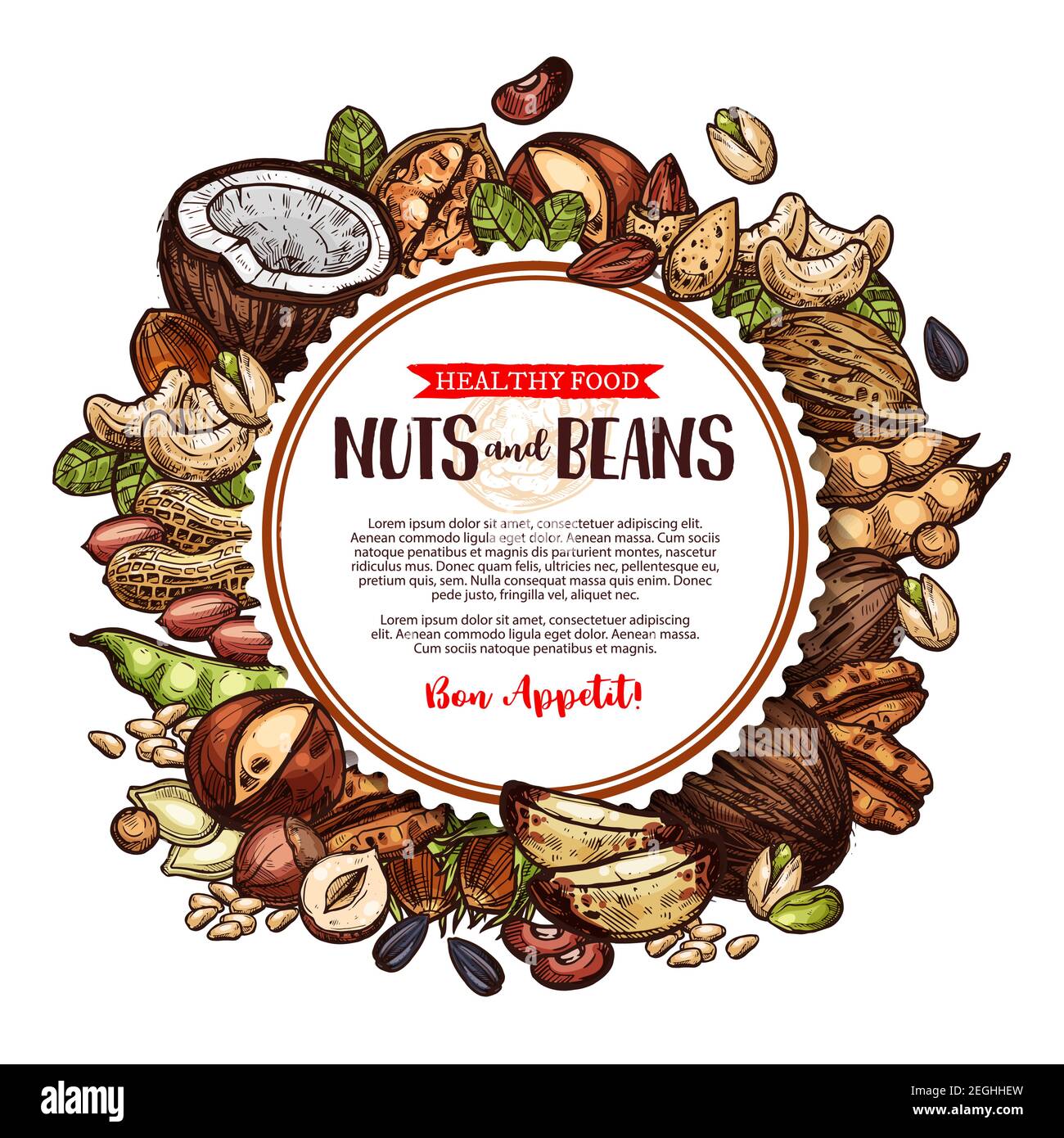Nuts and beans sketch poster of locally grown fresh and tasty organic ...