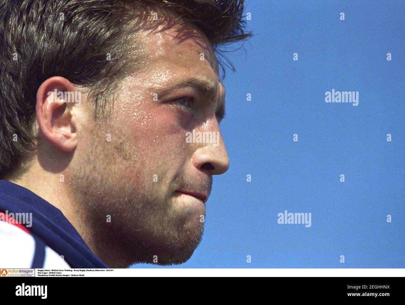 Irish lions dan luger hi-res stock photography and images - Alamy