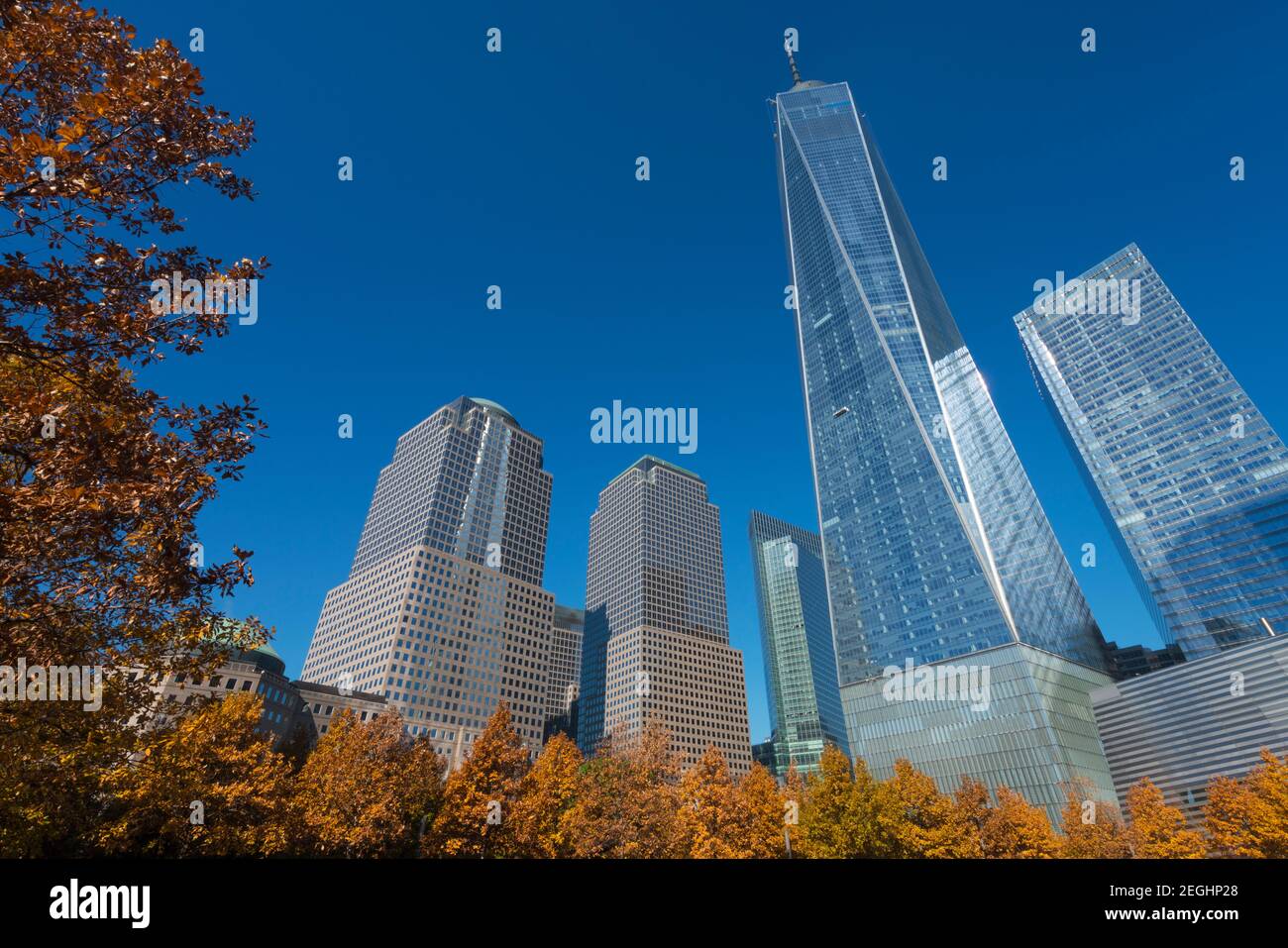 Lower Manhattan skyscrapers stand behind the autumn color trees growing ...