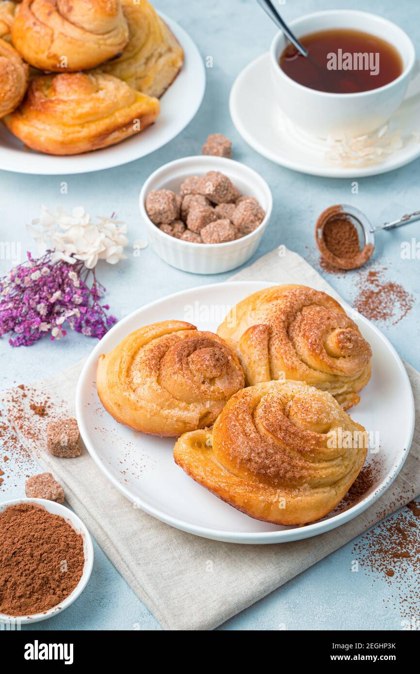 Fresh snail buns with cinnamon, cocoa and a cup of tea on a delicate ...