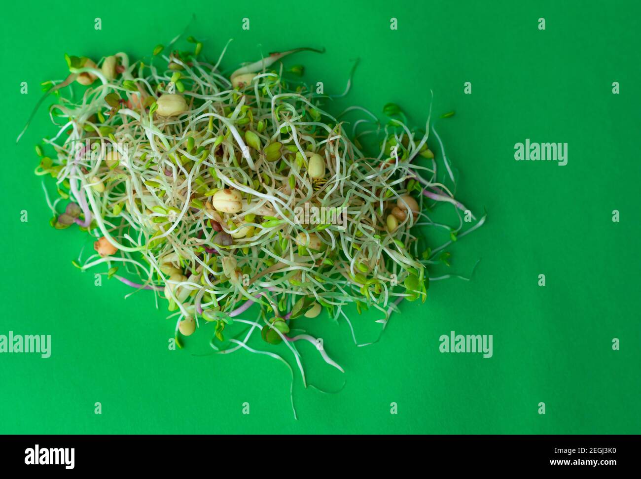 Alfalfa germs hi-res stock photography and images - Alamy