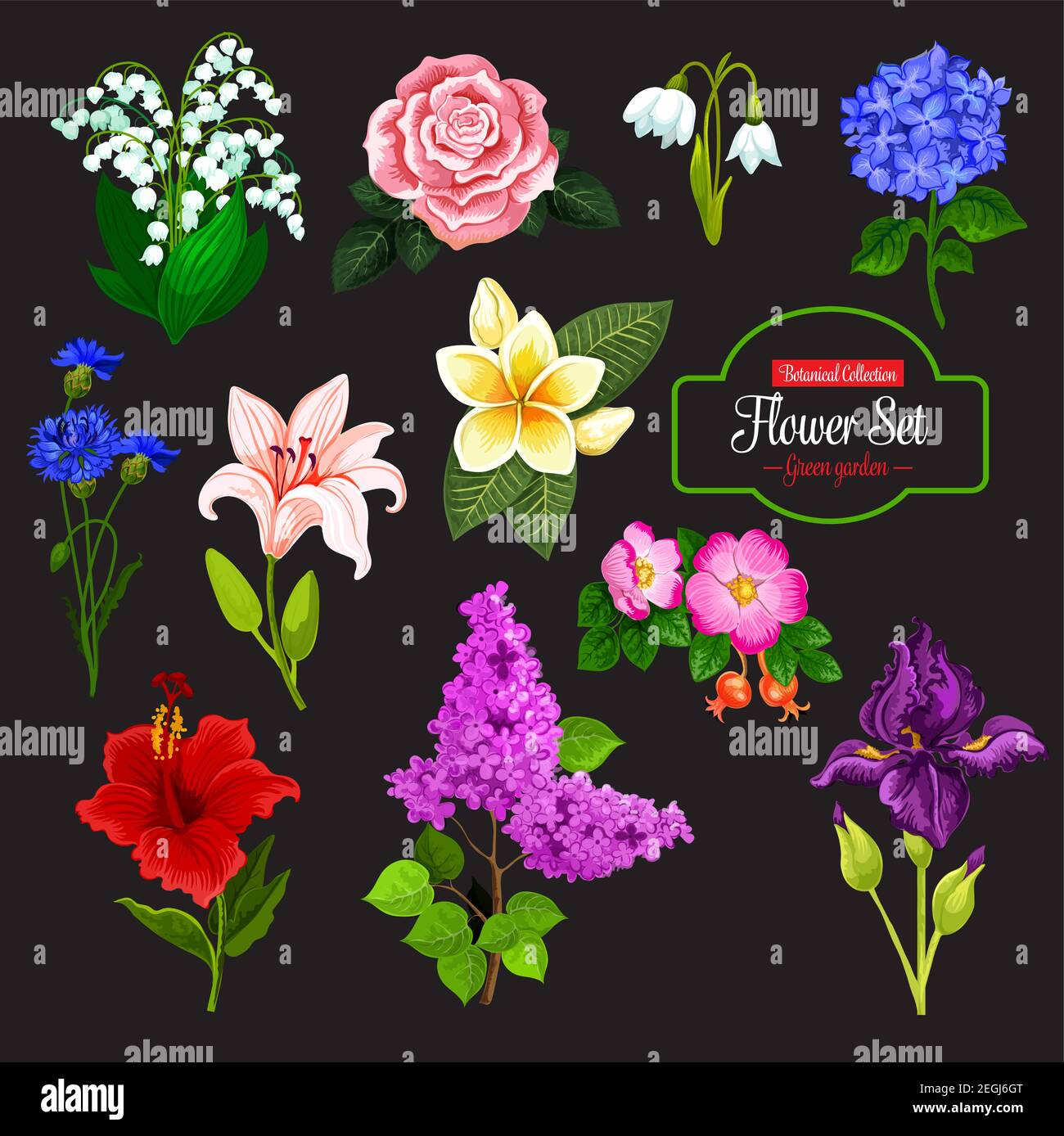 Spring flower cartoon icon set of wild flowering plant and tropical ...