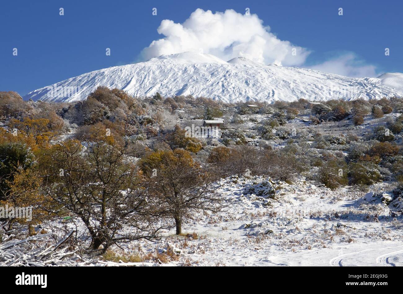 rural area Etna Park snow covered, Sicily Stock Photo - Alamy