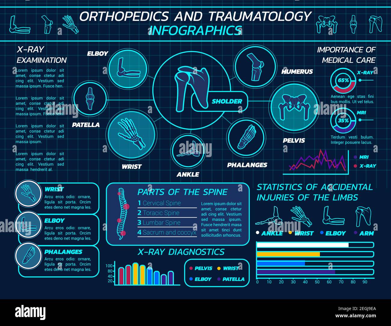 Orthopedics and traumatology infographic banner. Different bones elboy ...