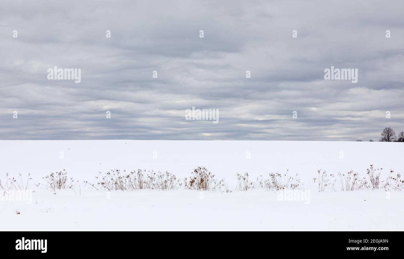 Stark barren landscape hi-res stock photography and images - Alamy