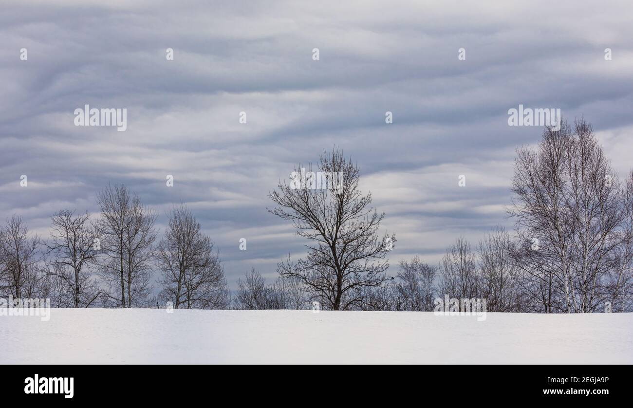 February landscape in northern Wisconsin Stock Photo - Alamy