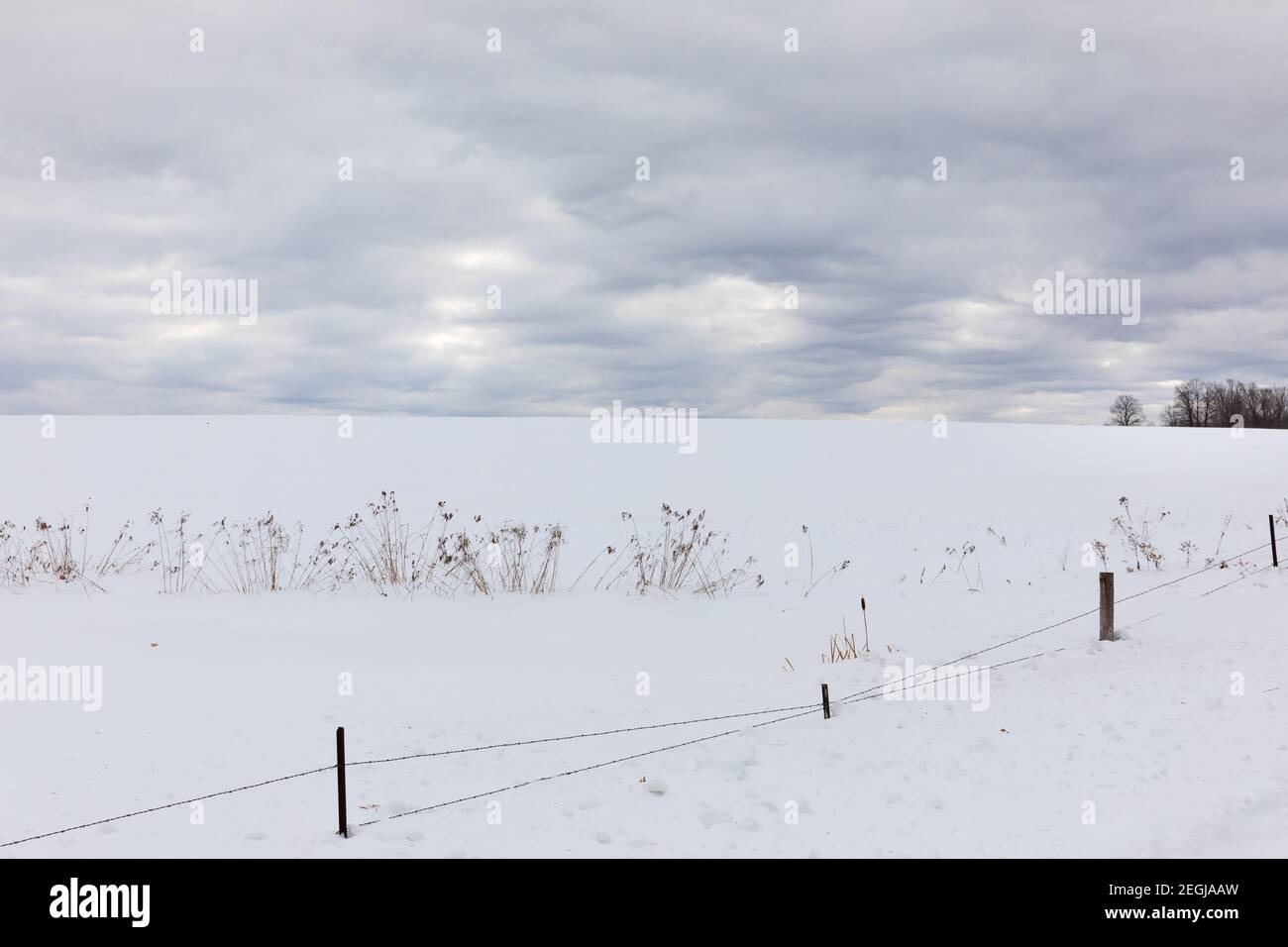 Stark landscape hi-res stock photography and images - Alamy