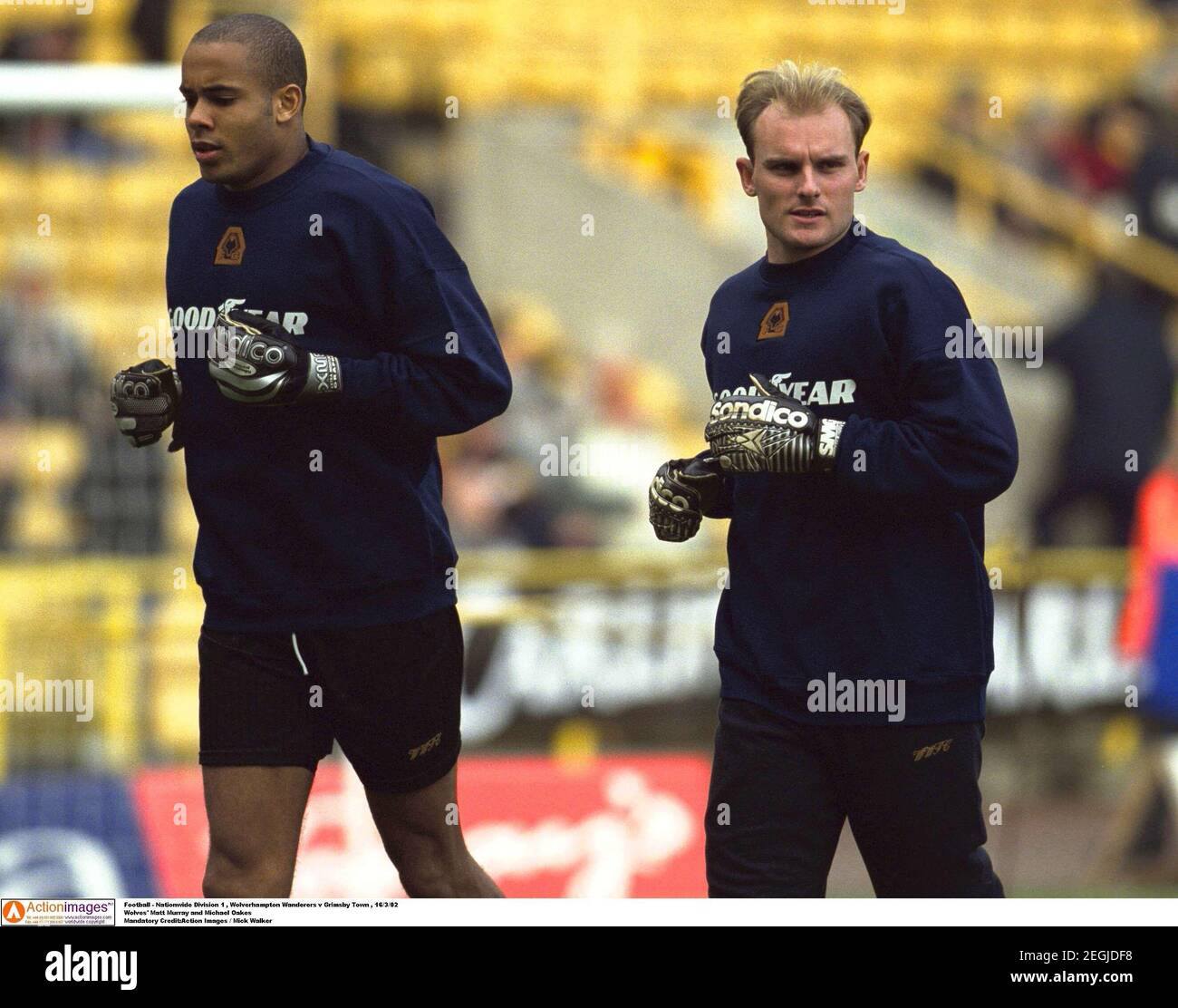 Matt murray wolves hi-res stock photography and images - Alamy
