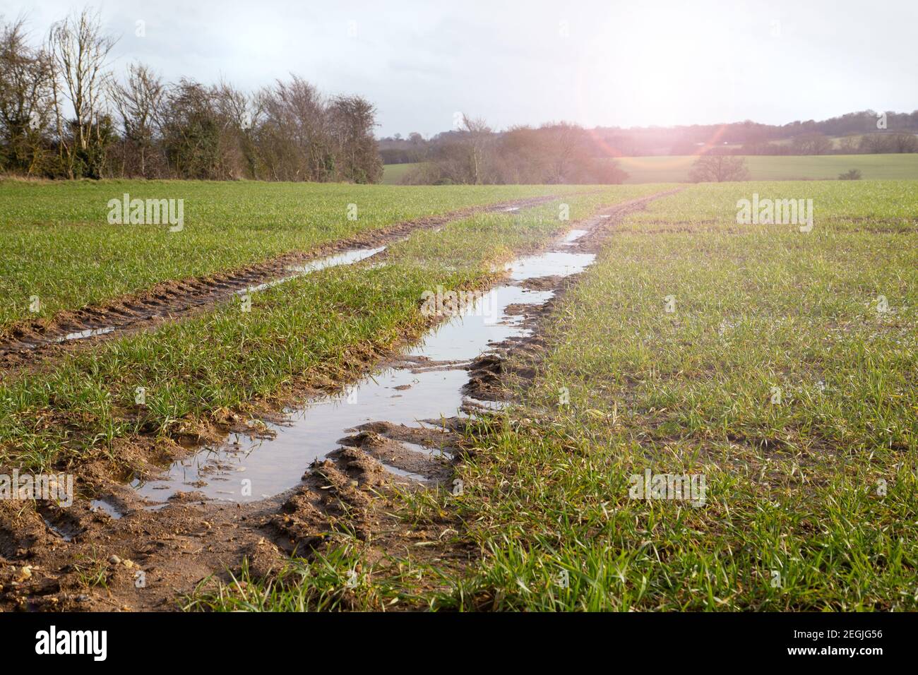 Lawn lake flood hi-res stock photography and images - Alamy