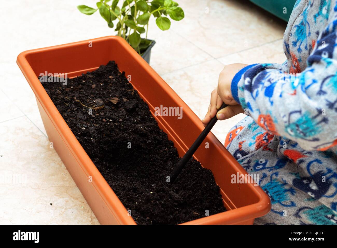 Boy plant pot hi-res stock photography and images - Alamy