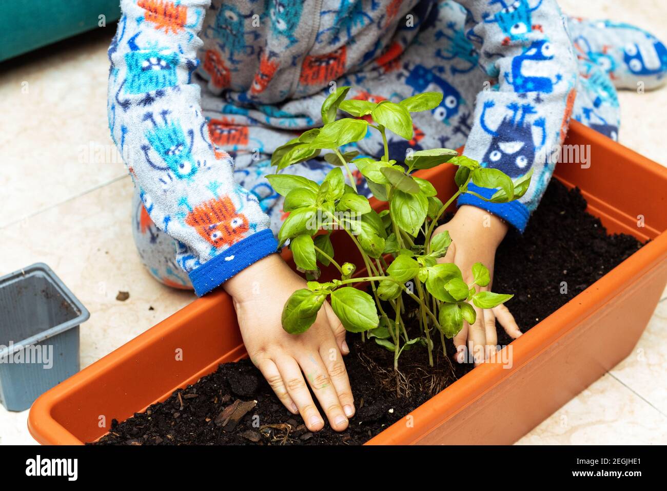 Boy herb plant hi-res stock photography and images - Alamy