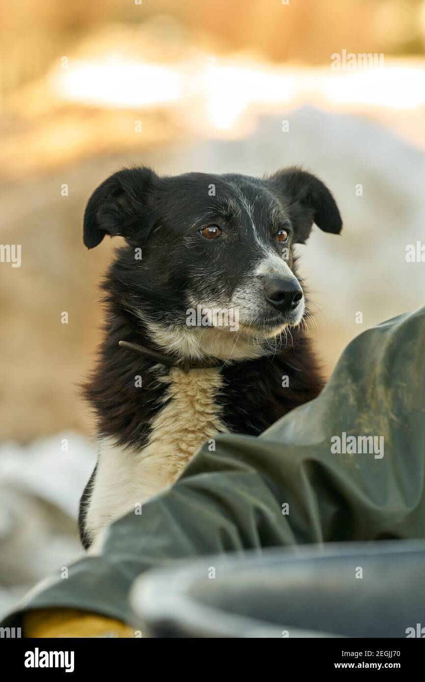 17 February 20201. Glenlivet, Moray, Scotland, UK. This is a Scottish ...
