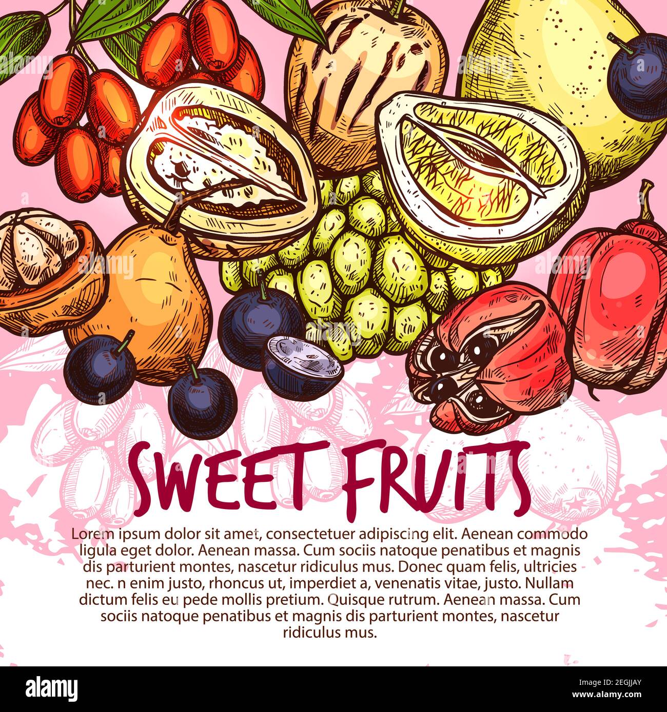 Exotic fruit and sweet tropical berry poster for menu cover template ...