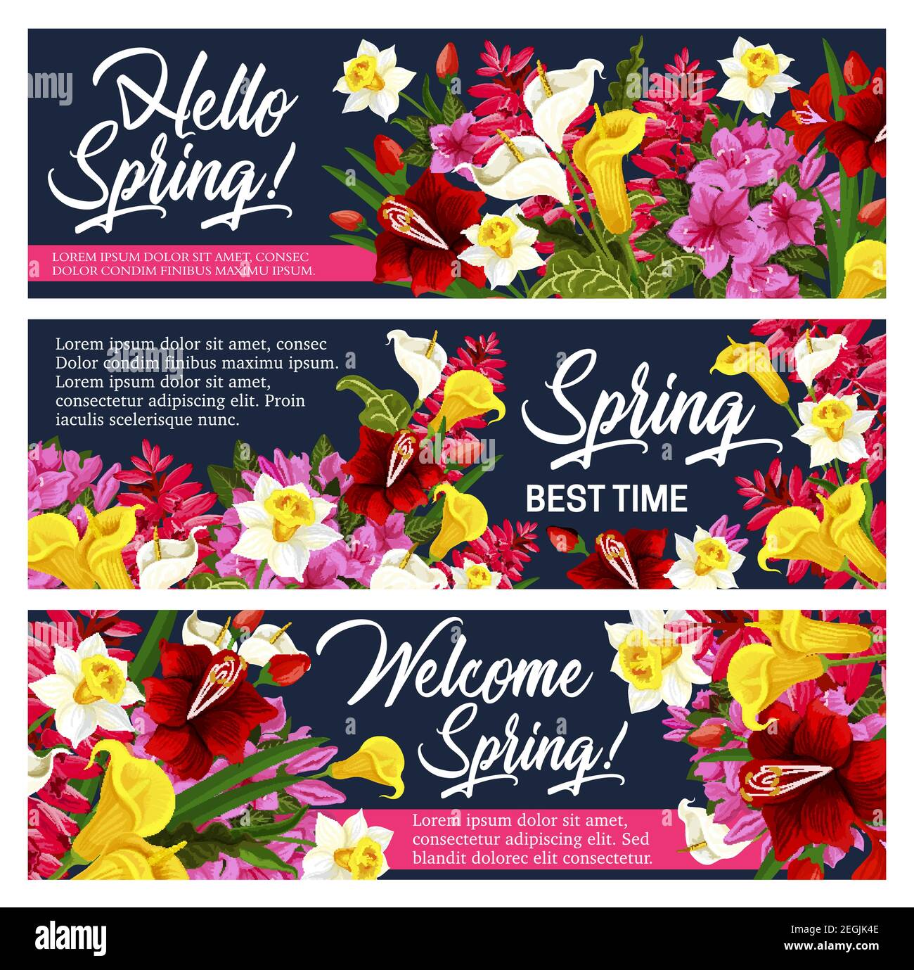 Spring flower greeting banner for Springtime holiday celebration design ...