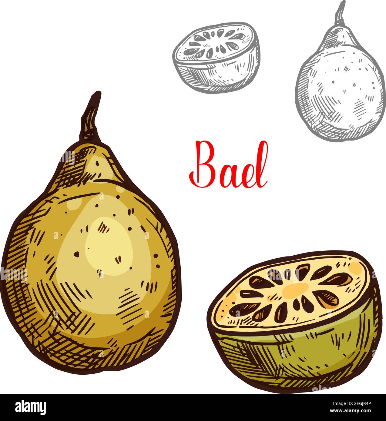 Bael juice Stock Vector Images - Alamy